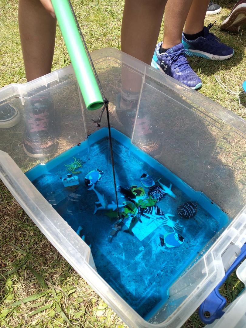 Magnetic Fishing Challenge - STEM - Primary 3 | έργα και e-μέρες ...