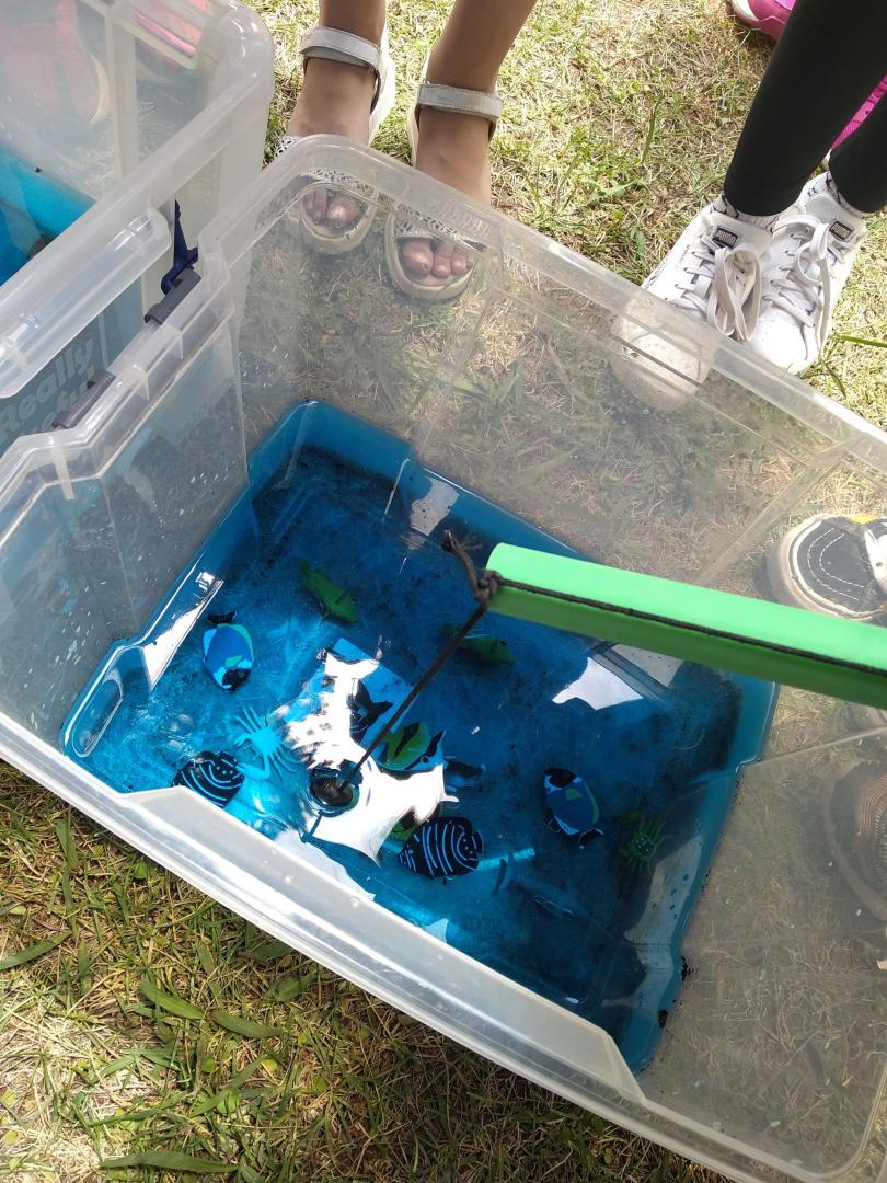 Magnetic Fishing Challenge - STEM - Primary 3 | έργα και e-μέρες ...